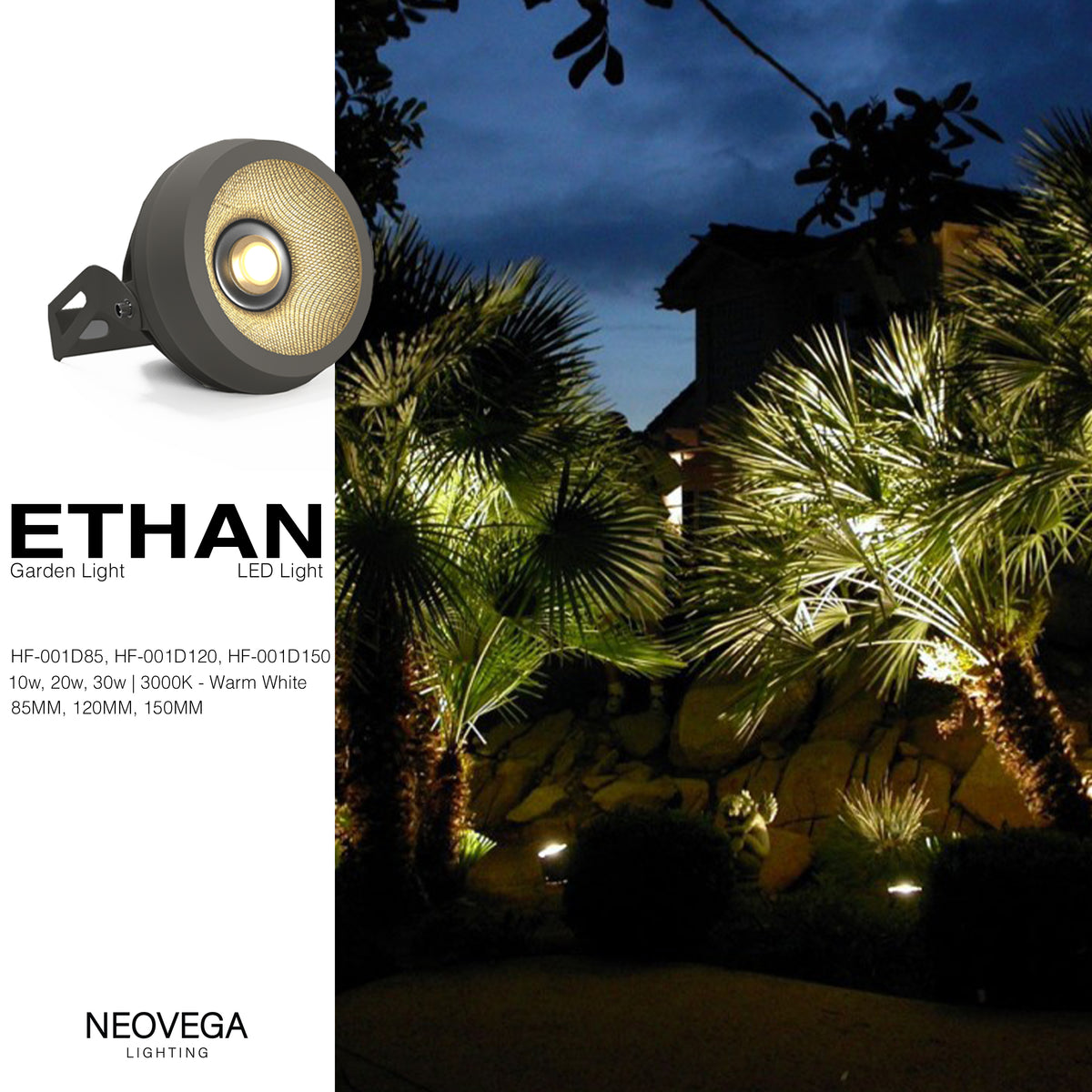 Ethan | Neovega Lights