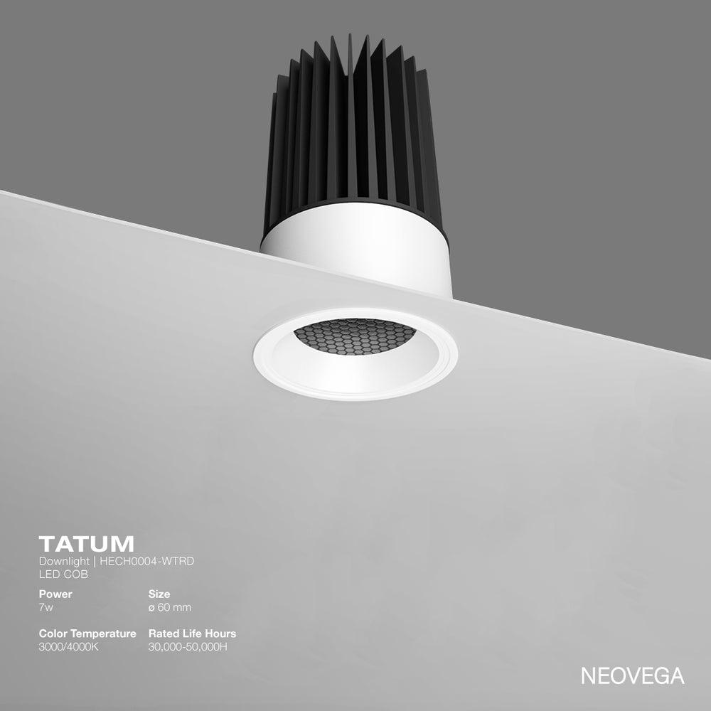 DOWNLIGHT | Neovega Lights