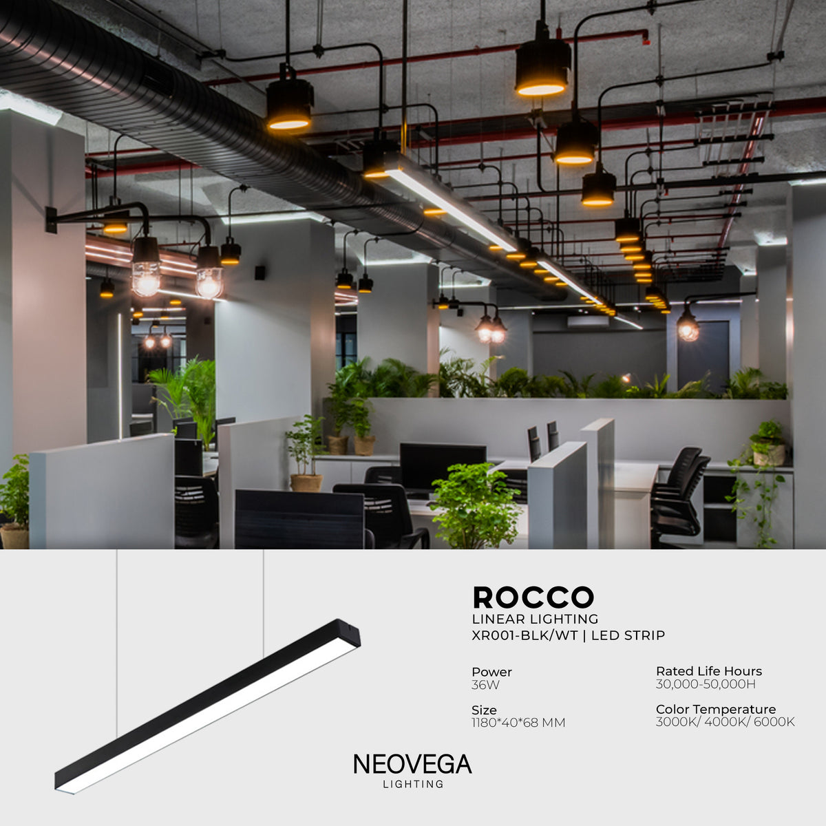 Rocco | Neovega Lights